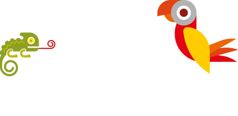 How to Play Totem | Instructions with Video – Totem - The Feel Good Game